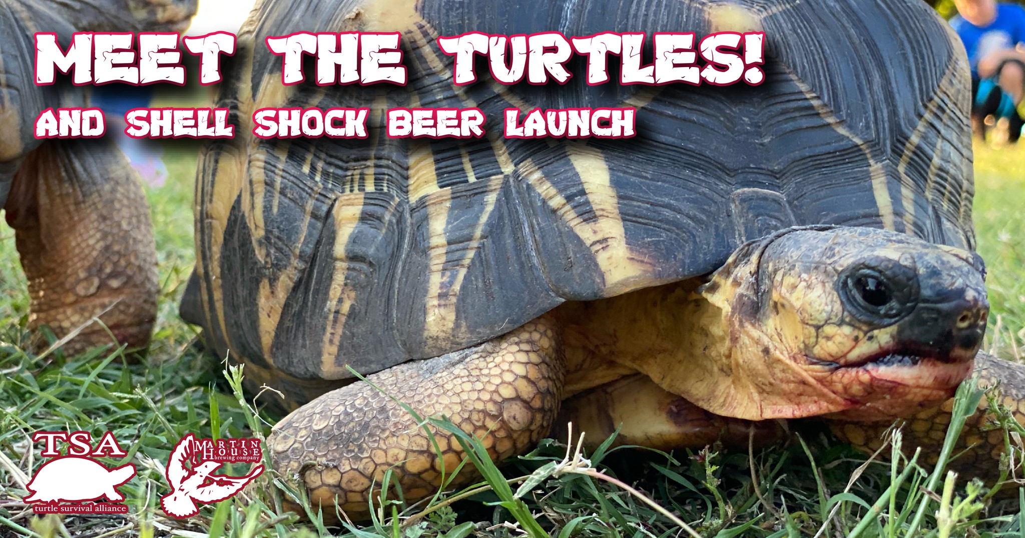 Martin House Brewing Company – Made in Texas by Texans.